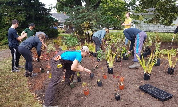Hands‑on Learning in Landscape Horticulture - Faculty of Agriculture ...