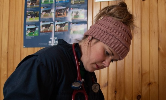 Shining Stars in Agriculture ‑Meredith (Leier) Vair - Faculty of ...