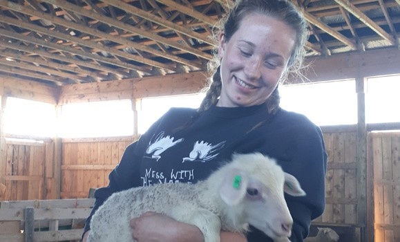 Sheep Milk Ice‑Cream anyone? - Faculty of Agriculture - Dalhousie ...