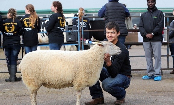An annual tradition at Dal AC - Faculty of Agriculture - Dalhousie ...