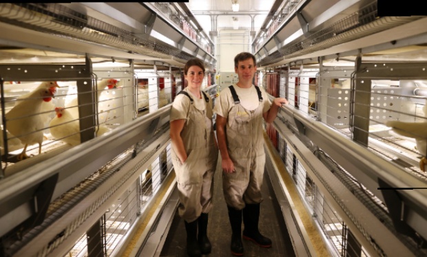 Welcome to our coop! Housing upgrade at Atlantic Poultry Research ...