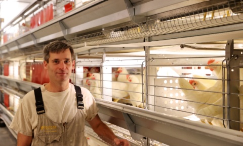 Welcome to our coop! Housing upgrade at Atlantic Poultry Research ...