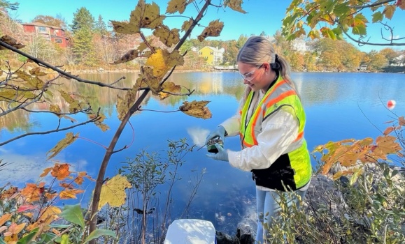 Dal researchers tested the water in a local lake for viruses. Here's ...