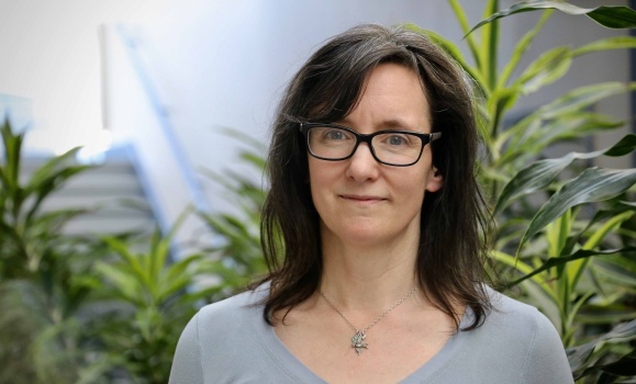 Sheila Wildeman and other Schulich Law professors are working at home ...
