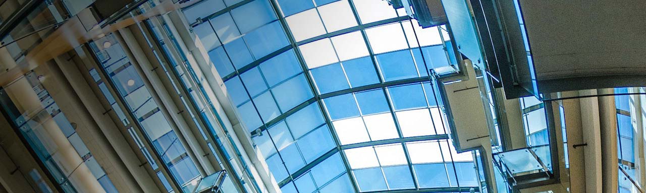 International Learning Experiences - Rowe School of Business ...