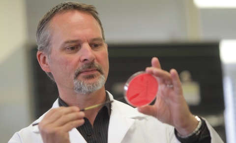 Division of Infectious Diseases - Dalhousie University