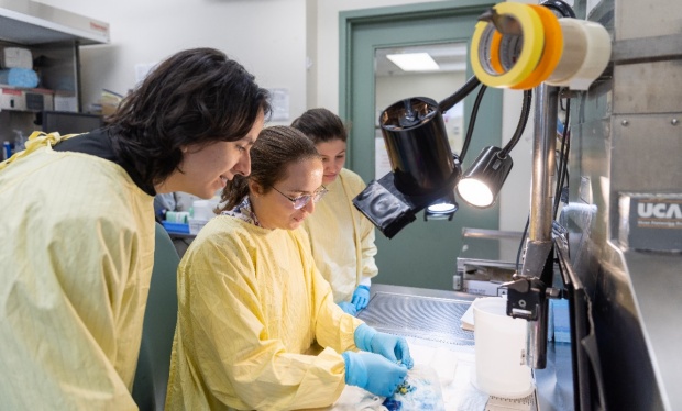 Department of Pathology - Dalhousie University