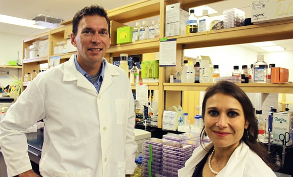 Molly Appeal‑funded equipment attracts immunity scientist to Dal ...