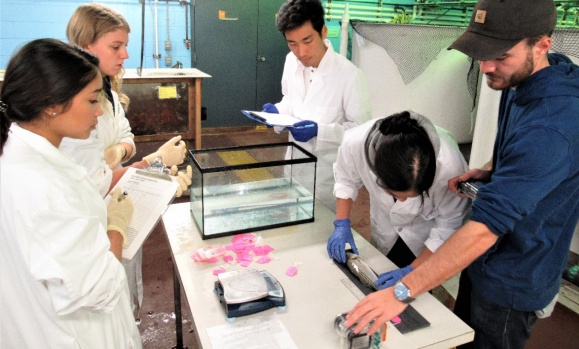 Department of Biology - Dalhousie University