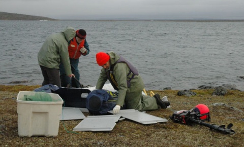 Marine Biology - Dalhousie University