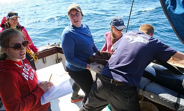 Marine Biology - Dalhousie University
