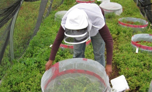 School for Resource and Environmental Studies - Dalhousie University