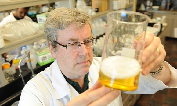 Beer research is hopping at Dal - Dal News - Dalhousie University