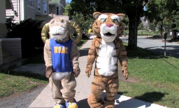 Video: Rocky the Ram gets a Halifax welcome from the Dal Tiger - Dal ...