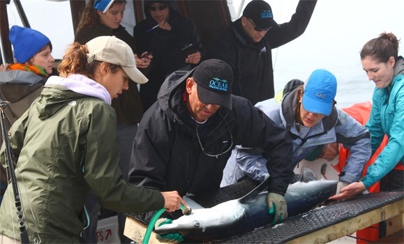 Tracking one of Nova Scotia's top predators - Dal News - Dalhousie ...