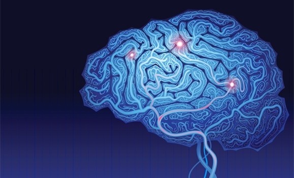 Inside the mind: Killam Prize winner on how our brains produce ...