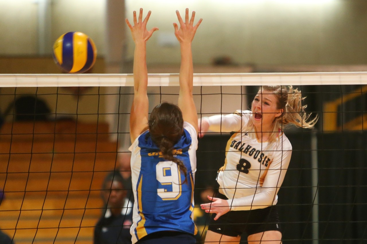 Athletes of the Week (ending Feb. 16) - Dal News - Dalhousie University