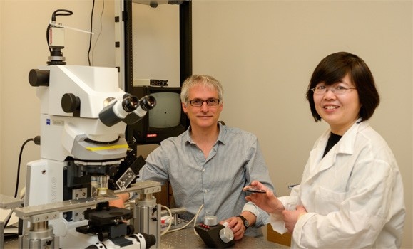 How we move: Dal researchers explore the science of the spinal cord ...