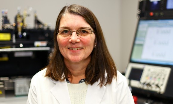 Across the Atlantic: New agreement connects Dal with France's leading ...