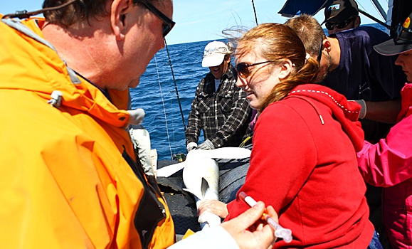 Five things you didn't know about the Faculty of Science - Dal News ...