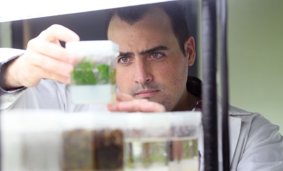 Discovering a new passion in plants - Dal News - Dalhousie University