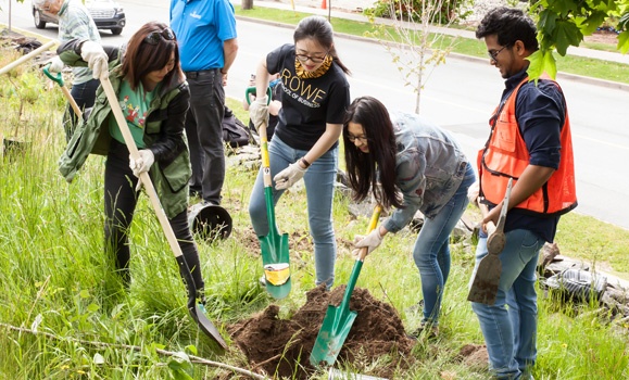 Creating a living legacy: 200 trees for 200 years - Dal News ...