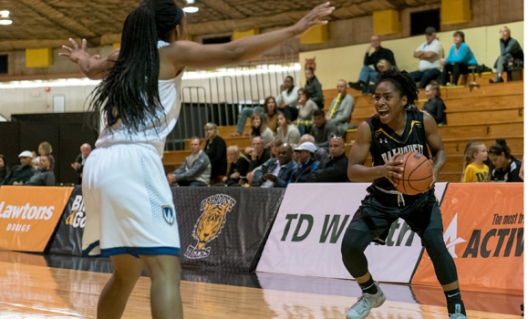 Tiger Weekend Recap (Week ending Oct. 14) - Dal News - Dalhousie University