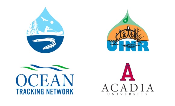 First Nations take the reins in new ecosystem study - Dal News ...