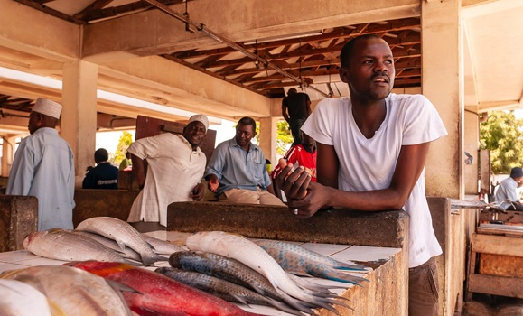 Reducing malnutrition for millions of people possible by giving access ...