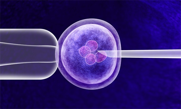 A year after the first CRISPR babies, stricter regulations are now in ...