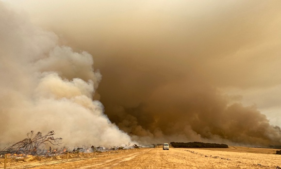 Witnessing Australia's deadly bushfires - Dal News - Dalhousie University
