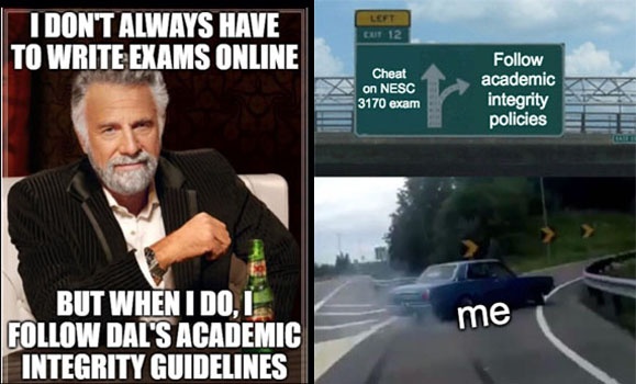 When it comes to academic integrity, Dal students really meme it - Dal ...