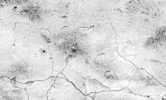 Robin DiAngelo's 'White Fragility' ignores the differences within ...