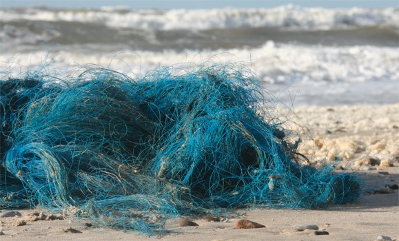 How to get abandoned, lost and discarded 'ghost' fishing gear out of ...