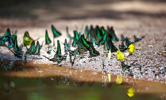 Ask an expert: Derek Tittensor on how human activity is affecting ...