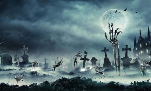 Life after death: How insects rise from the dead and transform corpses ...