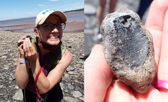 Dal instructor’s field trip discovery of rare fossil a surreal moment ...