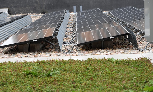 Dalhousie recognized as a top performer in the 2022 Sustainable Campus ...