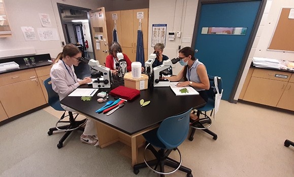 Volunteer‑led event returns to inspire junior high science teachers and ...