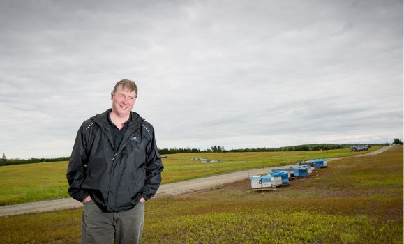 This Dal researcher helped Nova Scotia supersize its wild blueberry ...