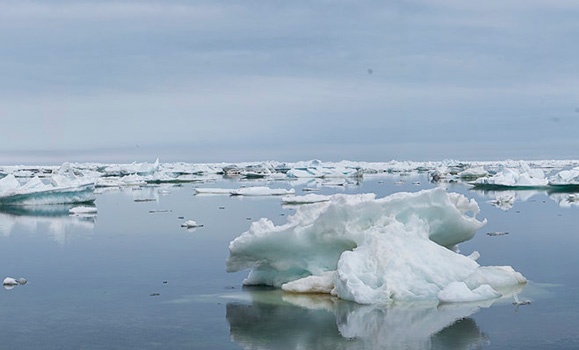 Ocean Frontier Institute to call for ocean‑climate action at COP27 in ...