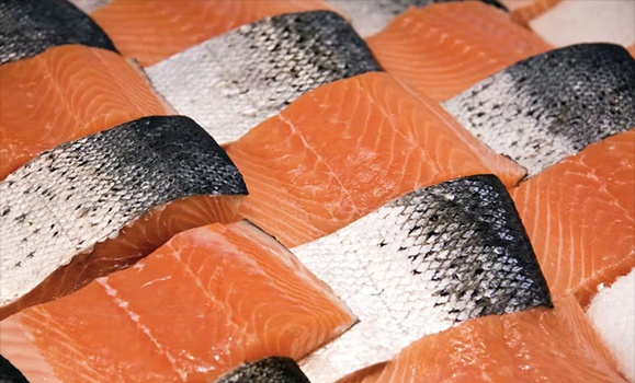 The colour of farmed salmon comes from adding an antioxidant to their ...