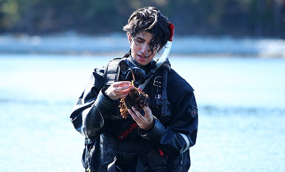 Making waves: Dal marine biology student wins 3M National Student ...