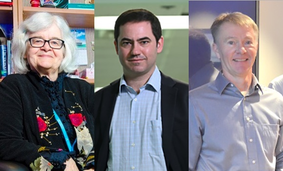 Dalhousie researchers rank among the world’s most influential in ...