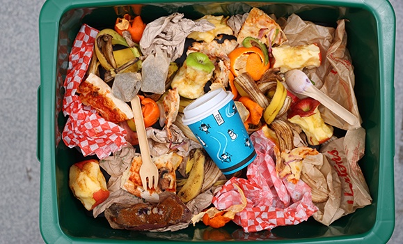 Sorting smarter: Campus campaign serves up a reminder on what waste ...
