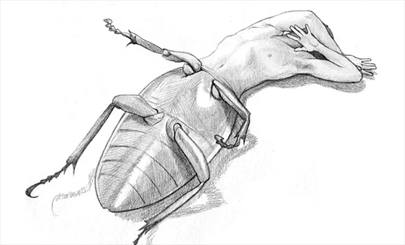 Kafka at 100: Rawi Hage’s brilliant ‘Cockroach’ invited some comparison ...