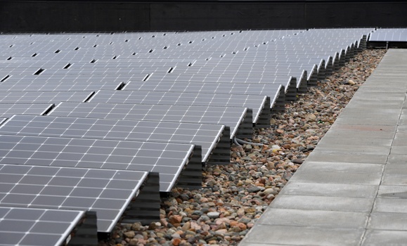 Dal achieves top‑performer status in 2024 Sustainable Campus Index as ...