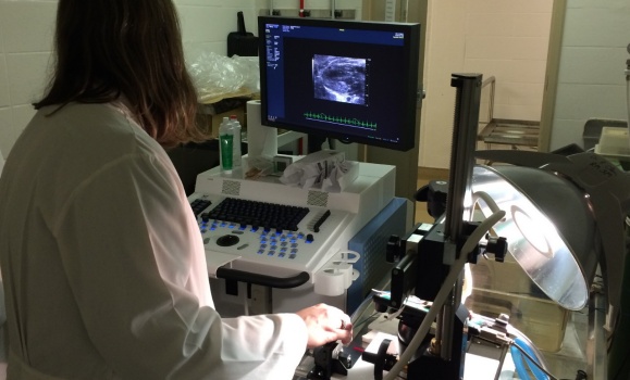 Facilities - Heart Health Lab - Dalhousie University