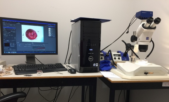 Facilities - Heart Health Lab - Dalhousie University