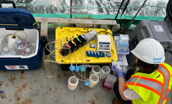 LaRoche Lab - Dalhousie University